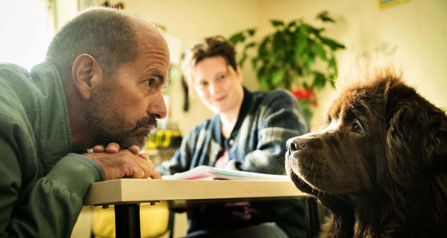 Merz gegen Merz – Geheimnisse - tittelbach.tv