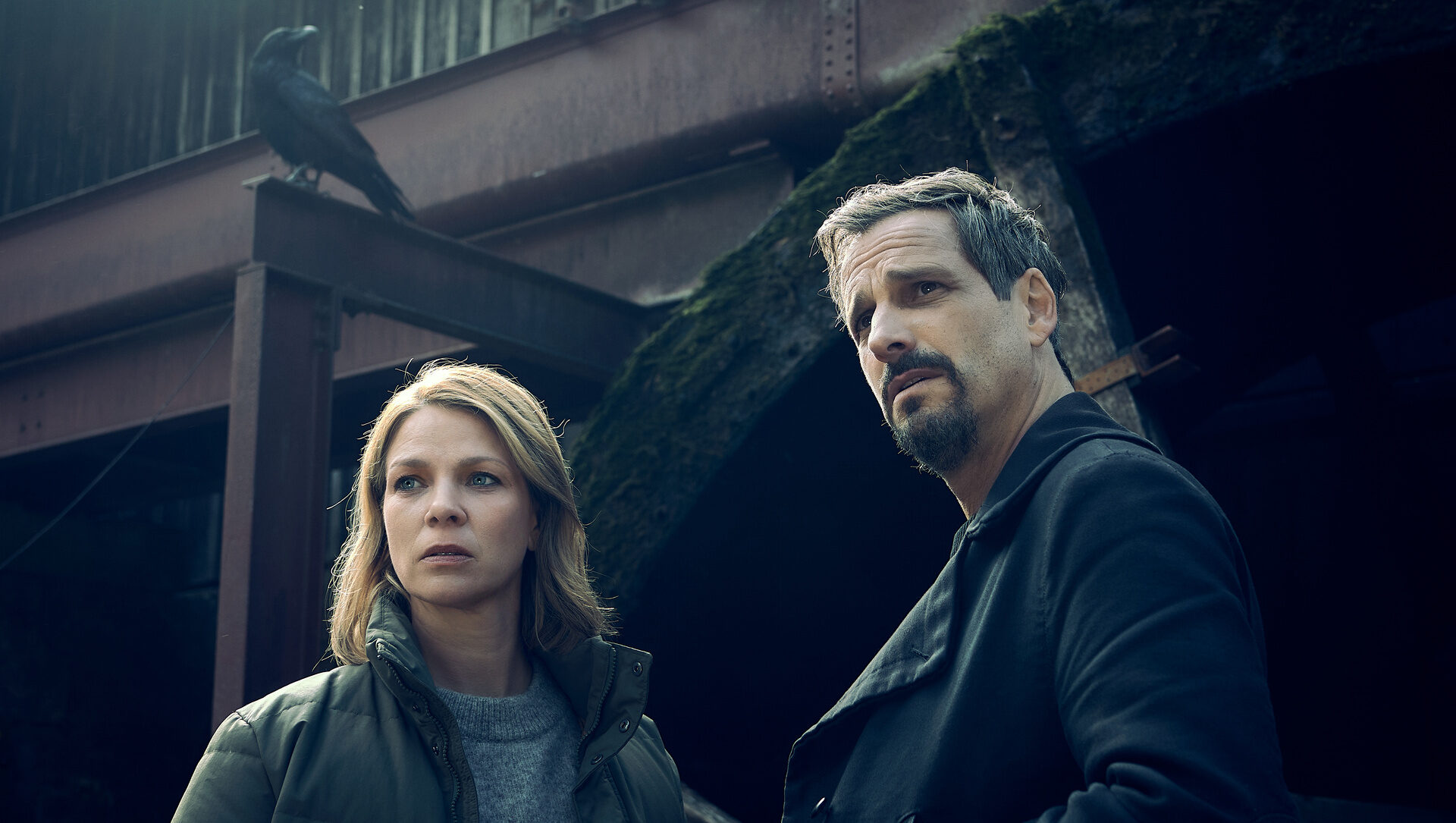 Der Geier – Freund oder Feind - tittelbach.tv